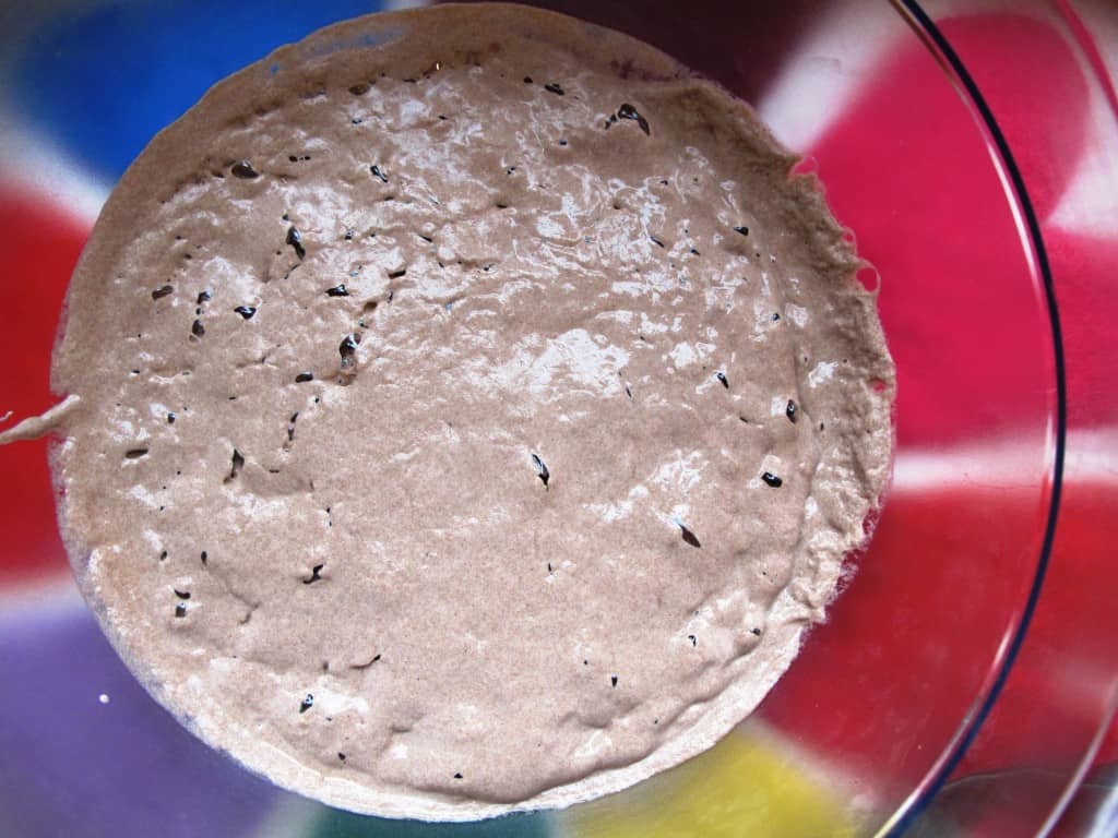 Injera Recipe: Ethiopian Teff Bread - The Bread She Bakes