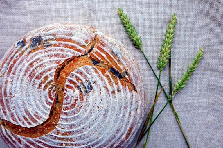 Seaweed Bread Recipes (Dulse & Kelp) - The Bread She Bakes