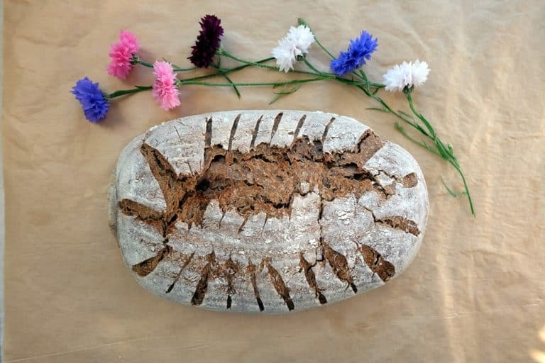 Grape seed flour bread recipe - The Bread She Bakes