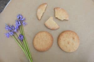 Tapioca flour baking recipes - The Bread She Bakes